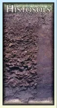 12 Soil Orders in Soil Taxonomy with Their Major Characteristics