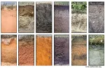 12 Soil Orders in Soil Taxonomy with Their Major Characteristics