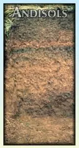 12 Soil Orders in Soil Taxonomy with Their Major Characteristics