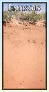 12 Soil Orders in Soil Taxonomy with Their Major Characteristics