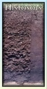 12 Soil Orders in Soil Taxonomy with Their Major Characteristics