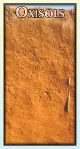 12 Soil Orders in Soil Taxonomy with Their Major Characteristics