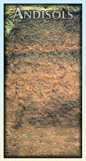 12 Soil Orders in Soil Taxonomy with Their Major Characteristics