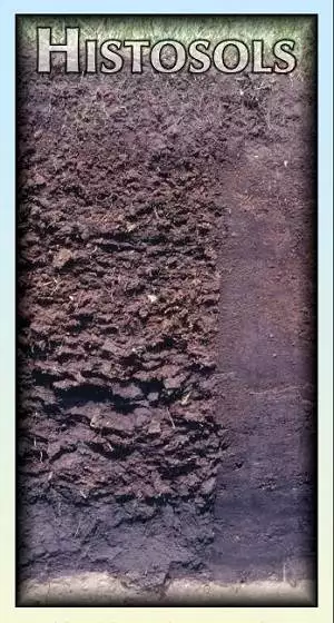 12 Soil Orders in Soil Taxonomy with Their Major Characteristics