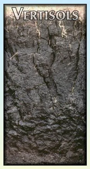 12 Soil Orders in Soil Taxonomy with Their Major Characteristics