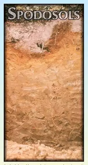 12 Soil Orders in Soil Taxonomy with Their Major Characteristics
