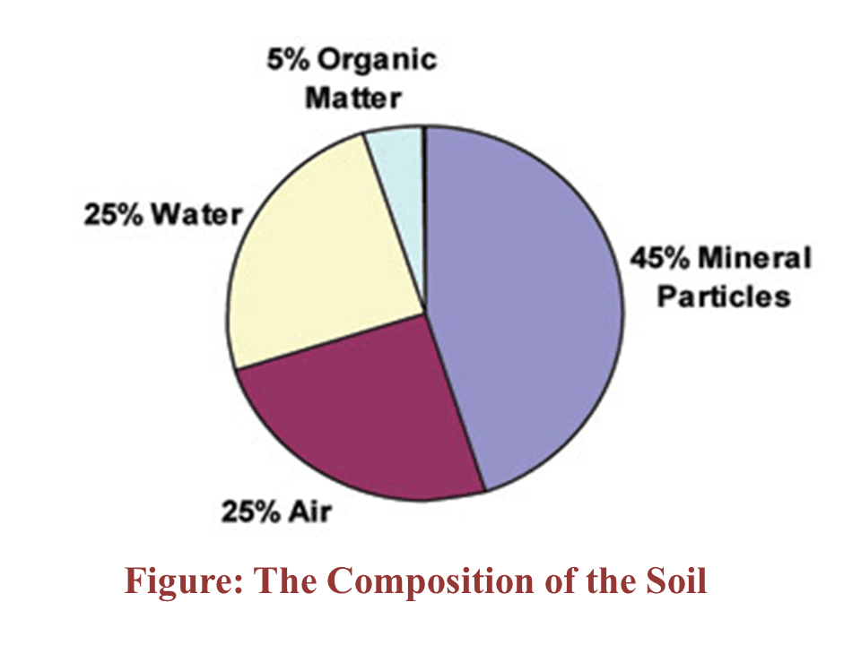 Soil Composition | Soil Definition by two Soil Scientists